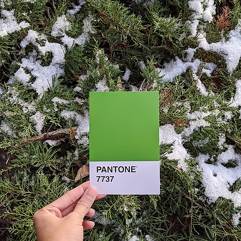 @pantone | Linktree